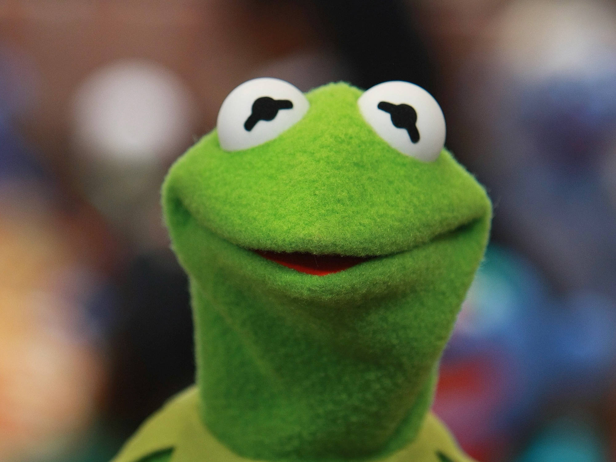 Kermit The Frog Kermit The Frog